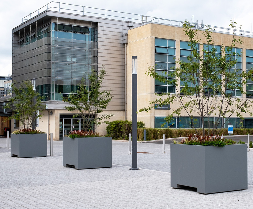 Movable zintec steel tree planters - University of Bath | IOTA | ESI ...