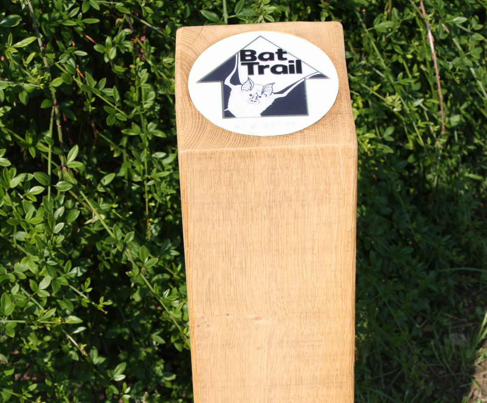 Timber waymarker posts and bollards | Landmark | ESI External Works