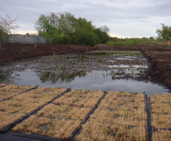 SuDS and flood management using aquatic plants | Aqualife Water Plants ...