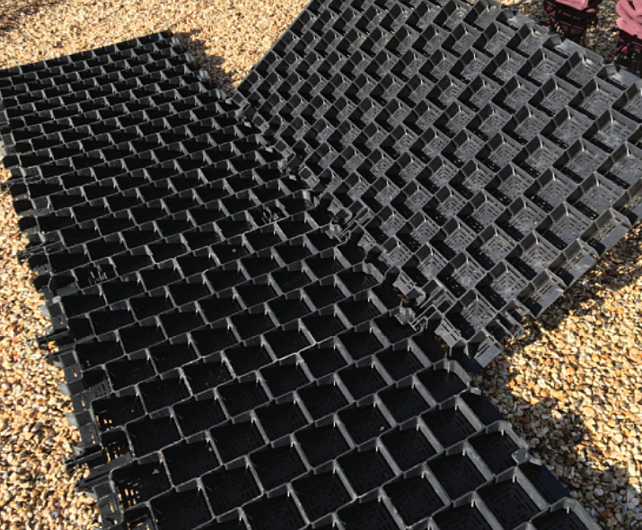 Tree root protection for driveway construction project | CORE Landscape ...