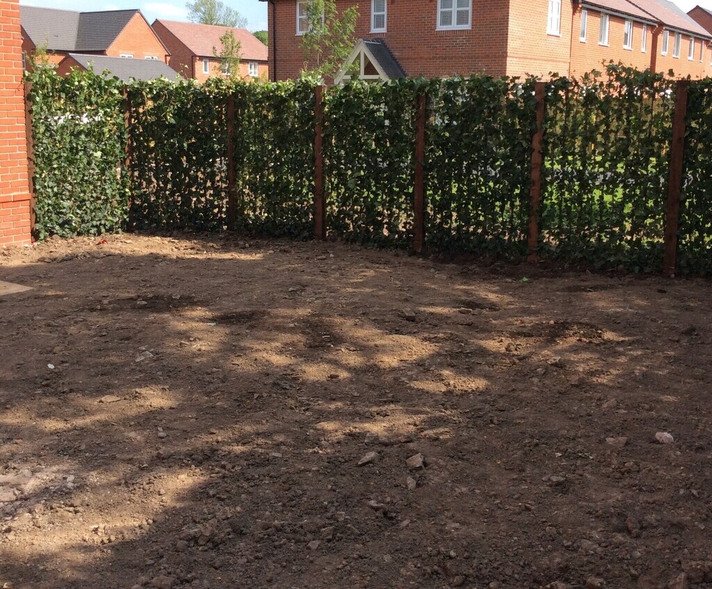 Soft landscape screening for properties and boundaries | East Midlands ...