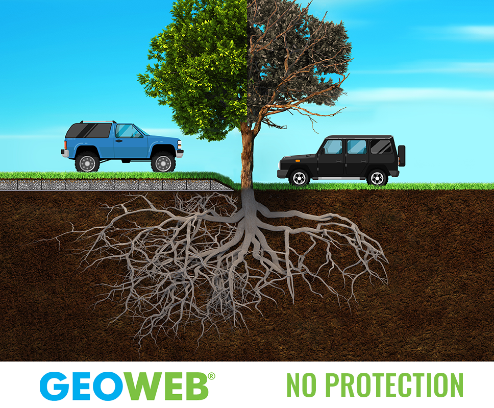 Geoweb® tree root protection system | Greenfix Soil Stabilisation ...