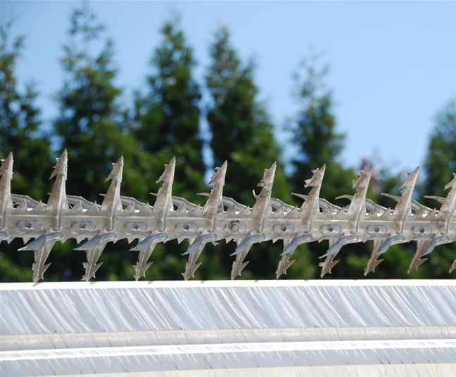 Cobra Spike Rotary security fence / wall topping | Jacksons Fencing ...