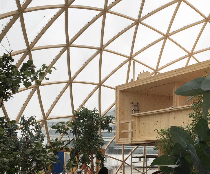 Sustainable timber beams create dome-shaped pavilion | Metsä Wood UK ...