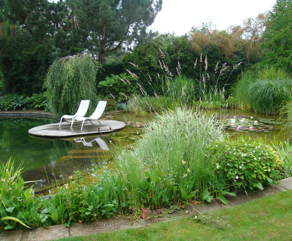 Marginal plants | Anglo Aquatic Plant Co Ltd | ESI External Works