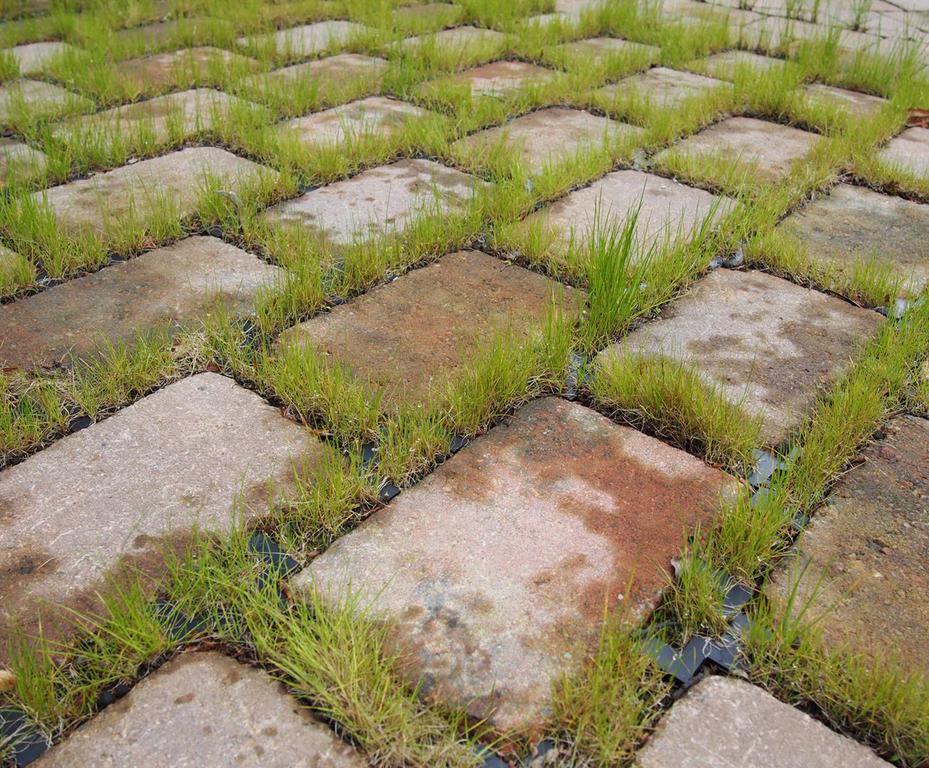 Grassguard concrete grass pavers | Marshalls | ESI External Works