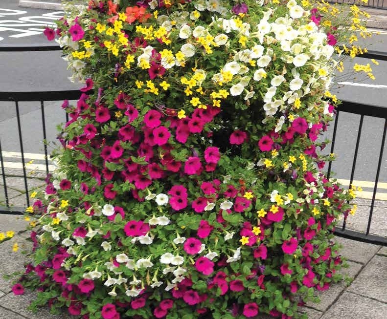 Flower Towers - circular base | Plantscape | ESI External Works