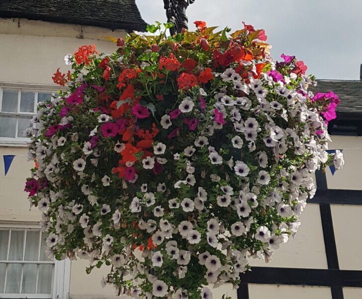 Lamp-post basket flower displays | Plantscape | ESI External Works