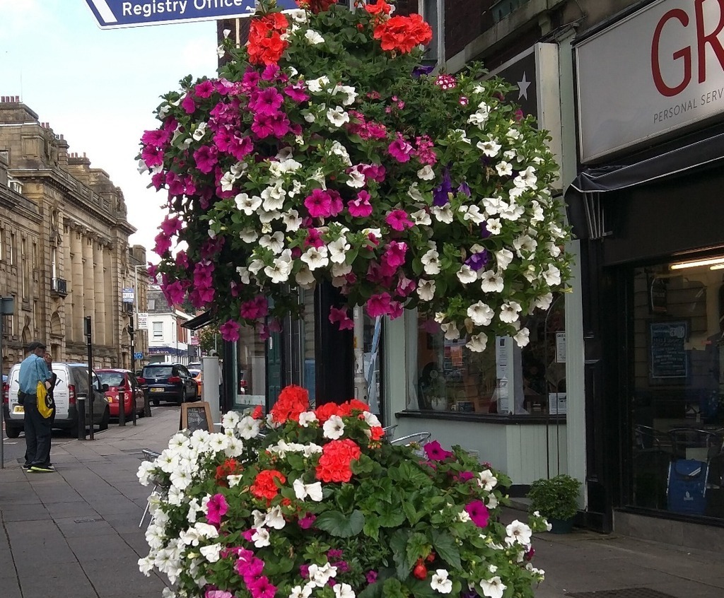Pole-mounted flower baskets | Plantscape | ESI External Works