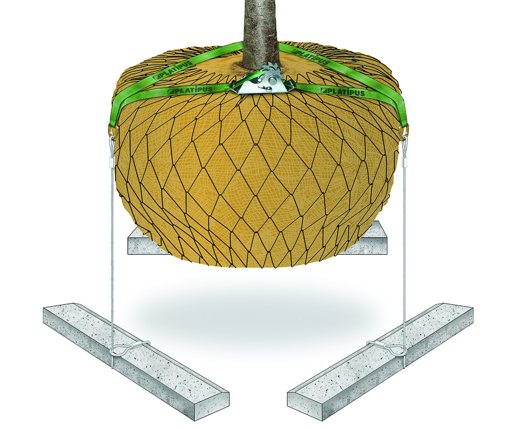 Deadman System - Strap | Platipus Anchors Ltd | ESI External Works