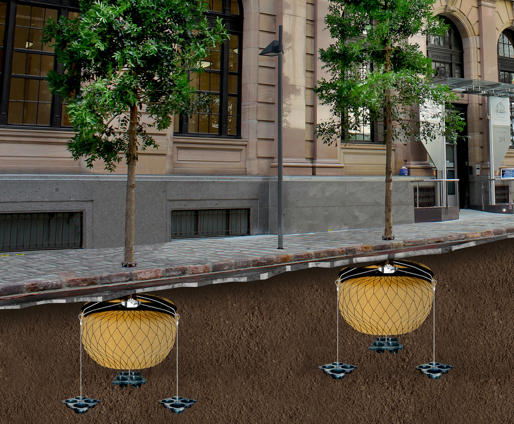 D-MAN® tree fixing system | Platipus Anchors Ltd | ESI External Works