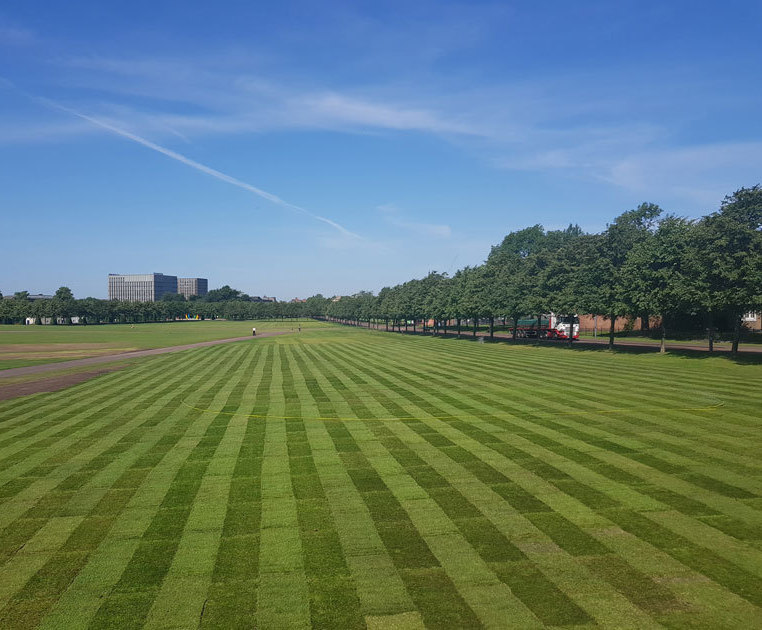 Re-turfing a 550 year old park - Glasgow Green | Harrowden Turf | ESI ...