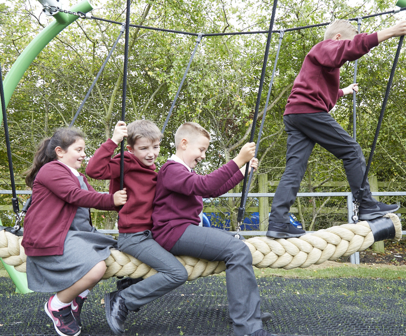 Cobra multi-user swing (COB001) | Sutcliffe Play | ESI External Works