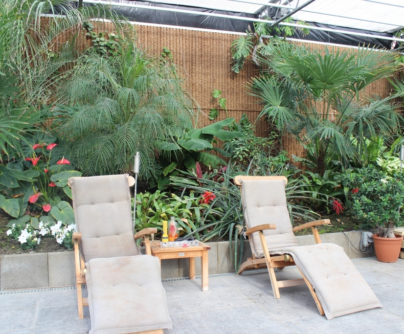 Kokowall® wall covering screens for green walls | Tendercare Nurseries ...