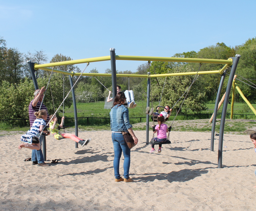 Unique hexagonal multi swing | eibe Play Ltd | ESI External Works