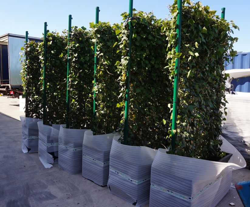 Bespoke mobile barrier planter with screening hedge | Livingreen Design ...