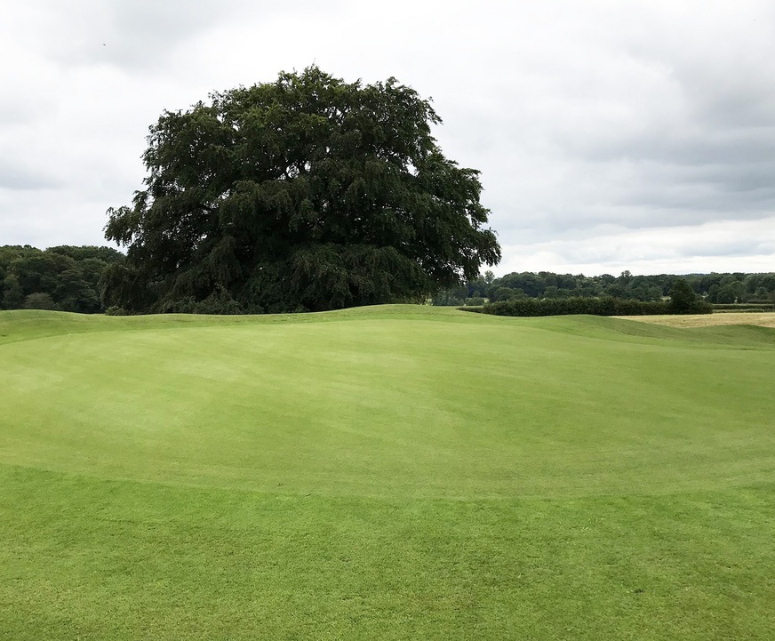 Grass seed for new 9-hole course - Adlington Golf Centre | Johnsons ...