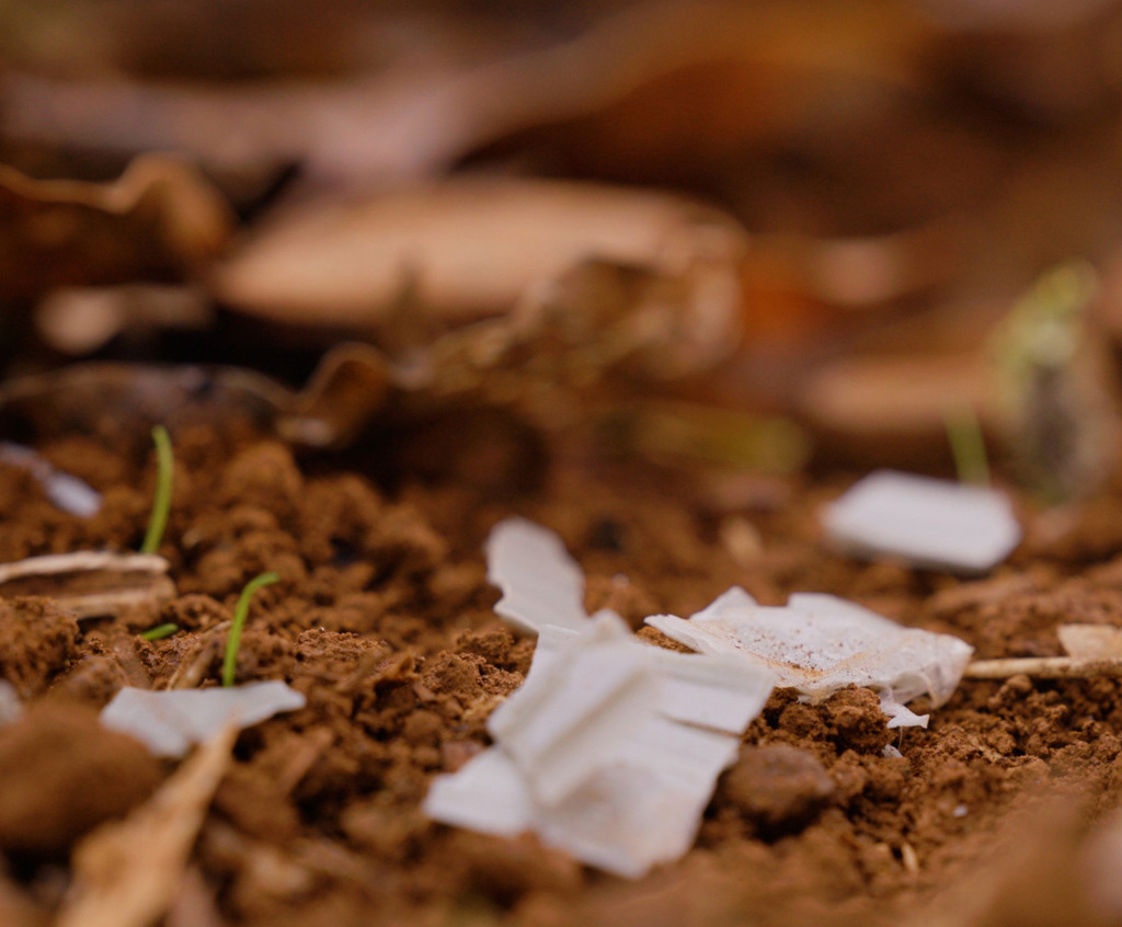 Vigilis-Bio biodegradable tree shelters | Suregreen | ESI External Works