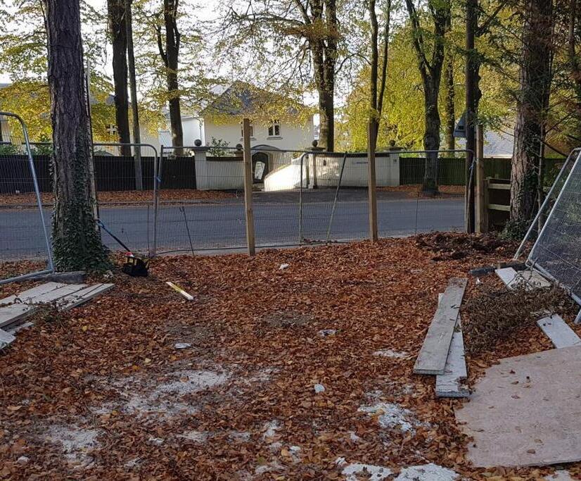 RB heavy duty tree root protector for new driveway | Green Grid Systems ...