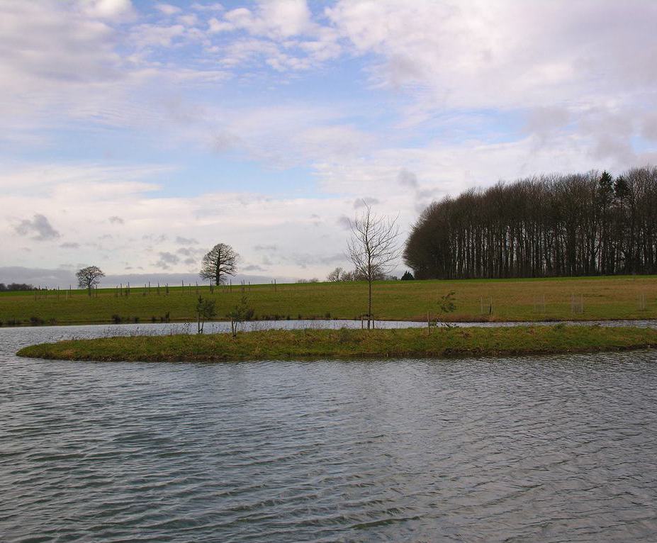 Lake construction for private landscape project | Lakes & Fountains ...