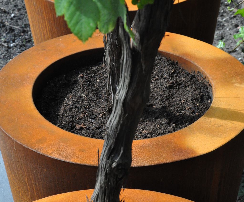Cado contemporary corten steel circular planter | Taylor Made Planters ...