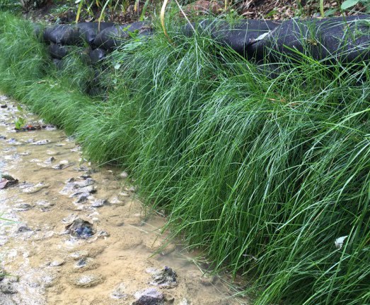 Rootlok vegetated wall for watercourse flood defence | GeoGrow | ESI ...