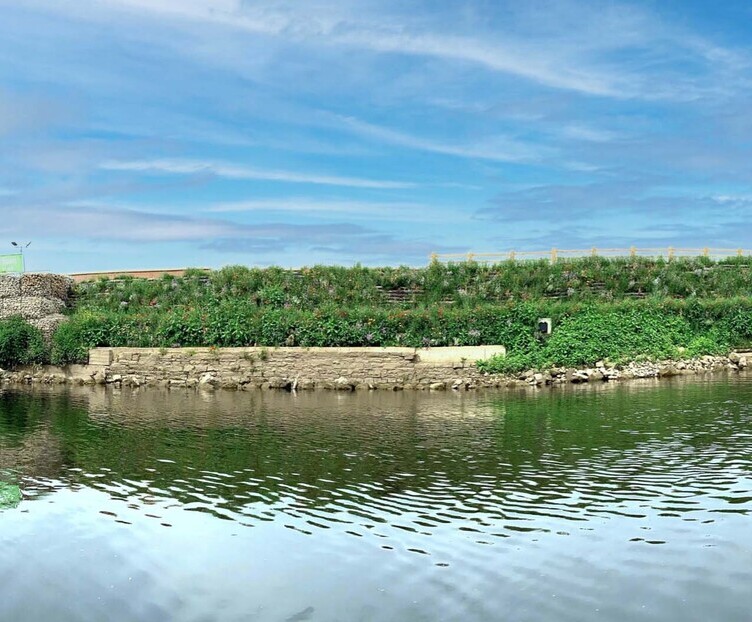 Reinforced vegetated wall system for Aire riverbank | GeoGrow | ESI ...