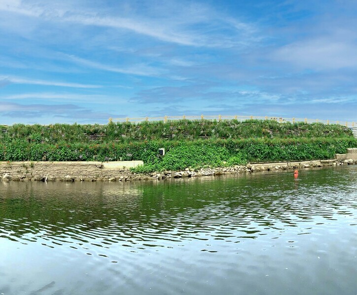Rootlok vegetated wall system | GeoGrow | ESI External Works