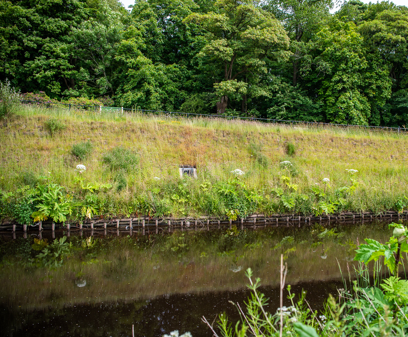 Vegetated wall system reinforces bank at Glasgow park | GeoGrow | ESI ...