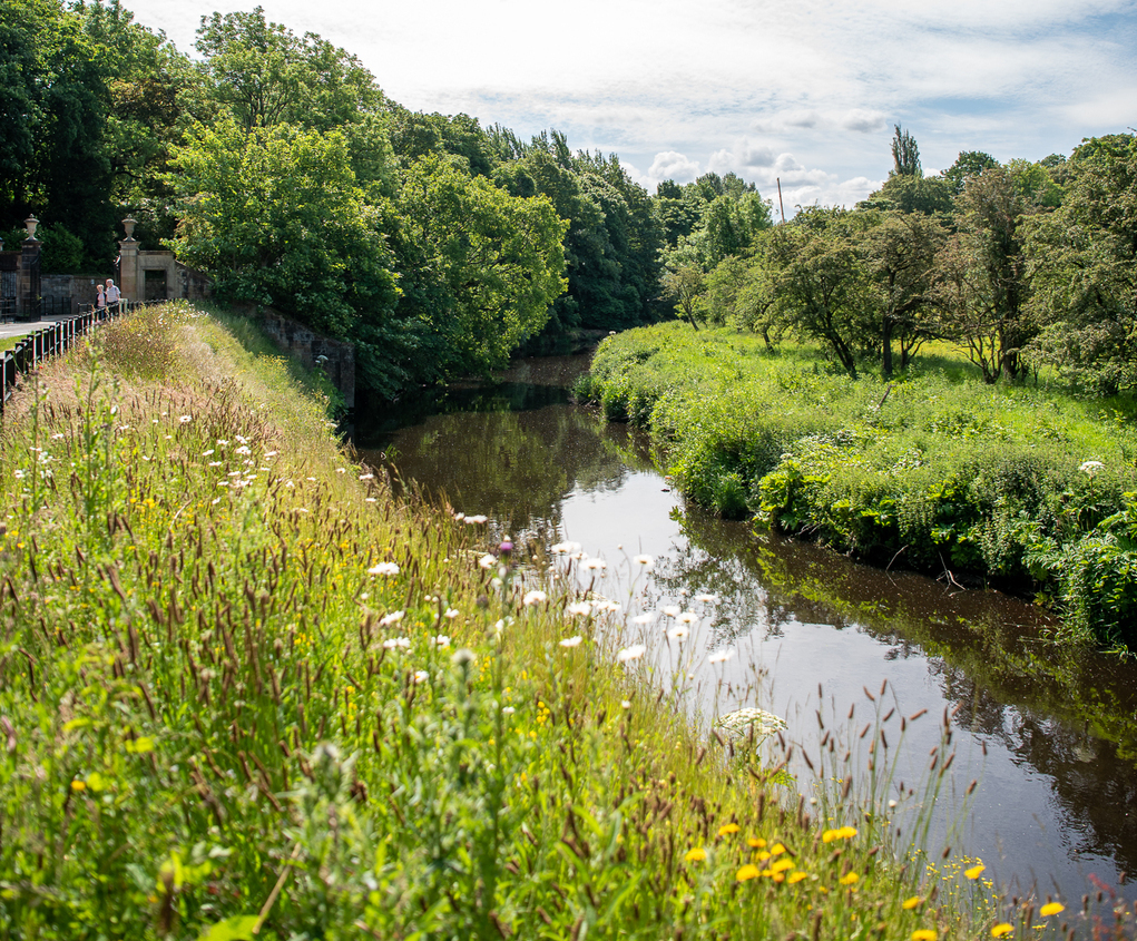 Vegetated wall system reinforces bank at Glasgow park | GeoGrow | ESI ...