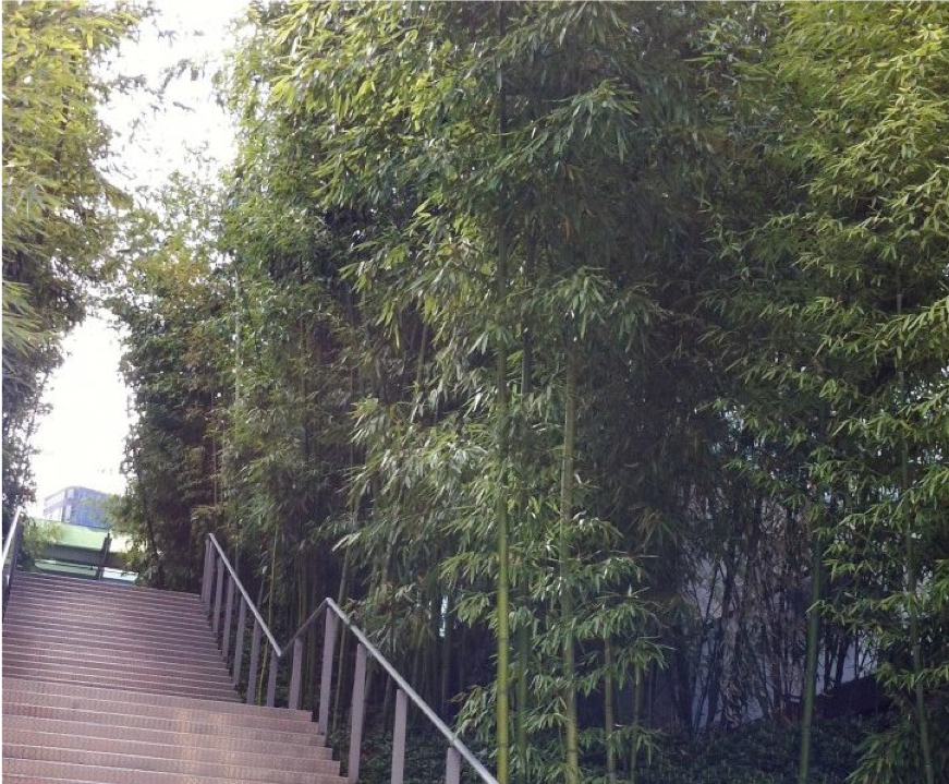 Flex MSE vegetated wall system for urban greening | Gravitas ...