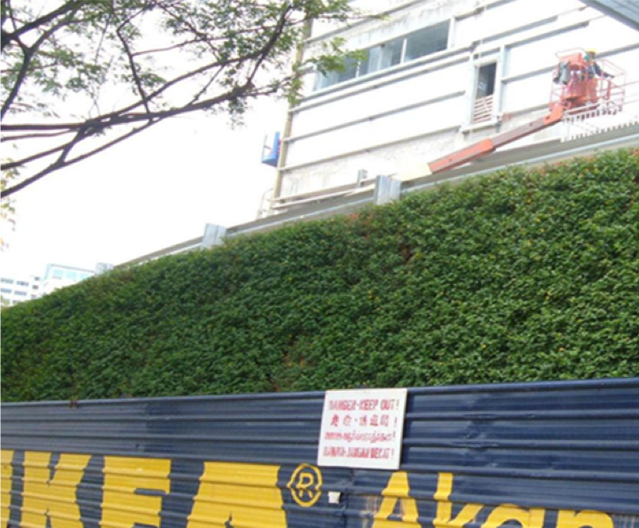 Flex MSE vegetated wall system reprofiles retail land | Gravitas ...