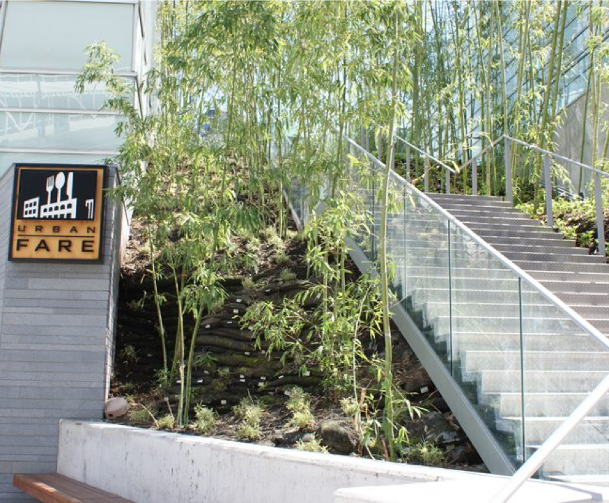 Flex MSE vegetated wall system for urban greening | Gravitas ...