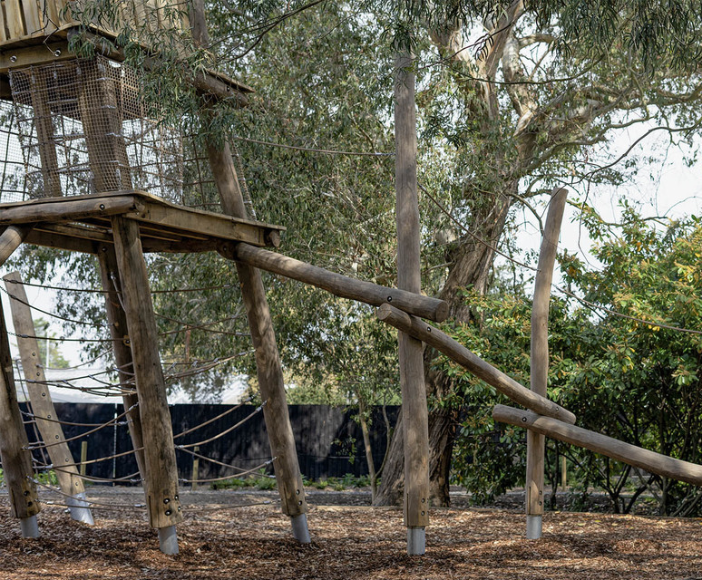Robinia Climbing Frame No.4 (CF.2.04) | Duncan & Grove | ESI External Works