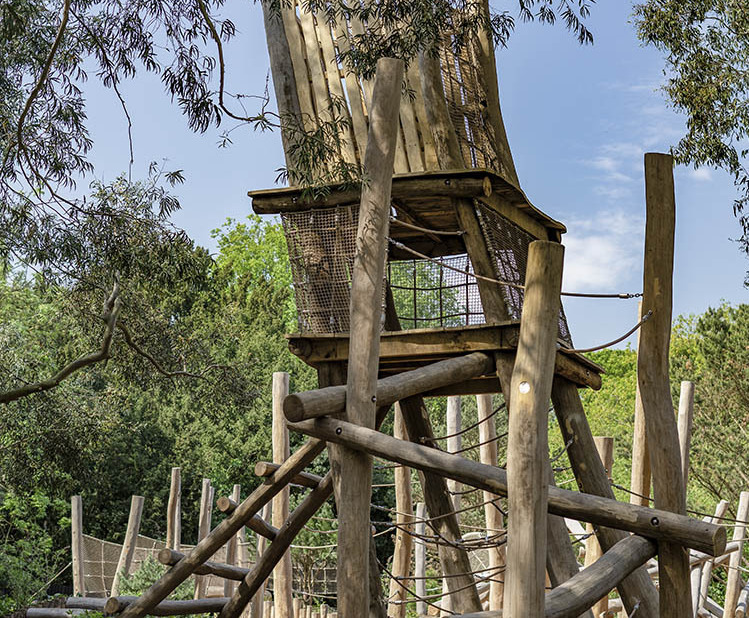 Robinia Climbing Frame No.4 (CF.2.04) | Duncan & Grove | ESI External Works