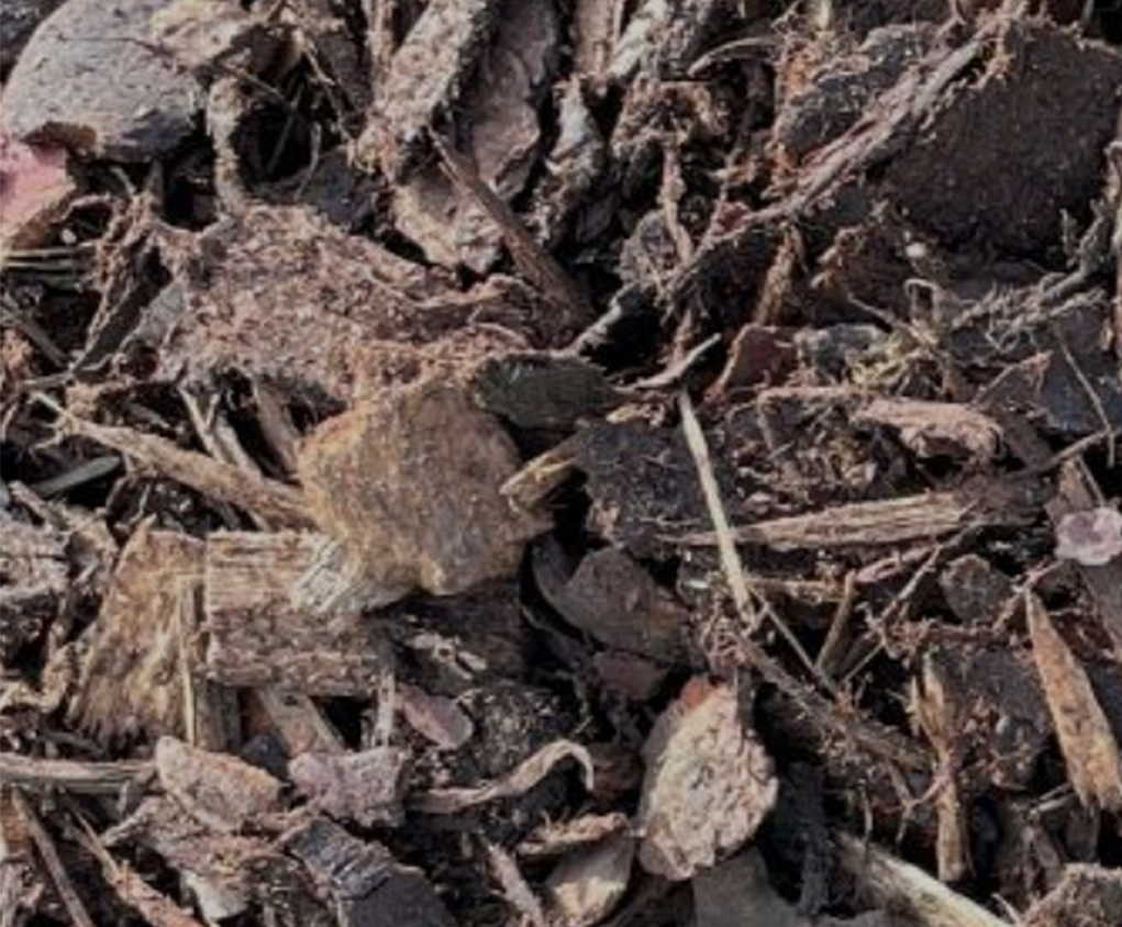 Eco Amenity Bark | Eco Sustainable Solutions | ESI External Works