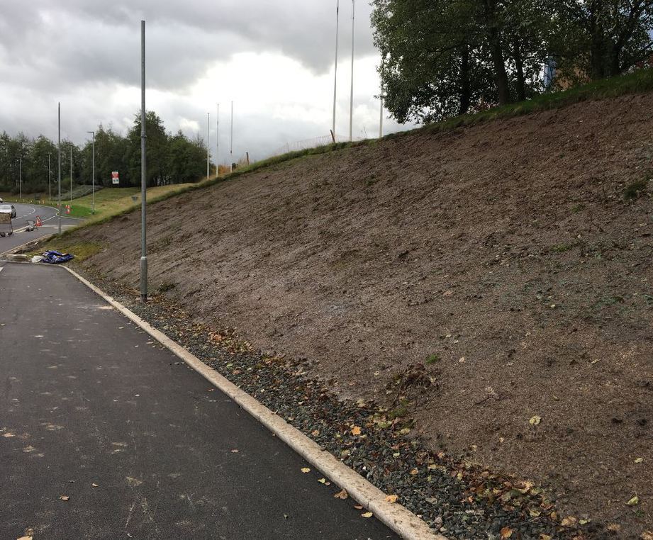 Road embankments hydroseeded with DOT mix | RMB Hydroseeding | ESI ...