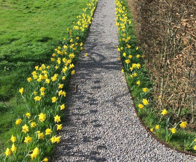 ProEdge steel lawn edging for historic garden renovation | EverEdge ...