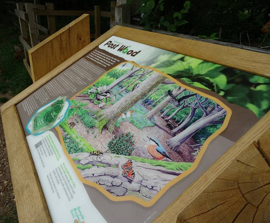 Woodsman™ timber interpretation lectern | Fitzpatrick Woolmer | ESI ...