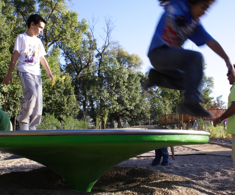 Giant Revolving Disc | Timberplay | ESI External Works