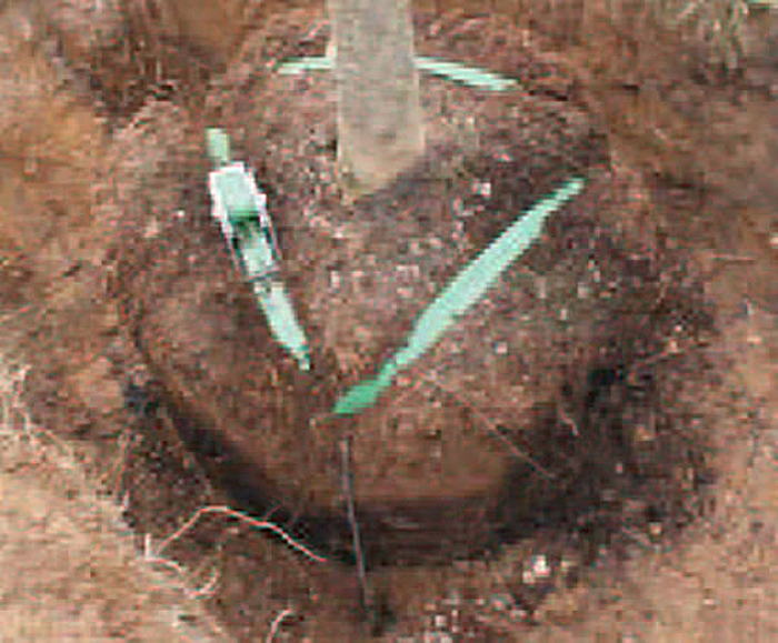 Rootball Fixing System - Strap | Platipus Anchors Ltd | ESI External Works