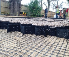 Tree root protection for driveway construction project | CORE Landscape ...