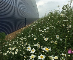 Covamat™ Fresh pre-seeded erosion control blankets | Greenfix Soil ...