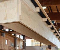 Kerto LVL roof beams for indoor swimming pool | Metsä Wood UK | ESI ...