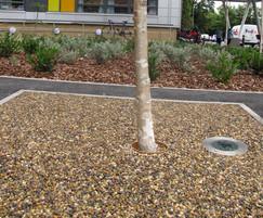 DekorGrip Tree Surrounds - resin bound tree pit system | Meon Ltd | ESI ...