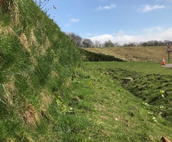 Rootlok vegetated wall system | GeoGrow | ESI External Works