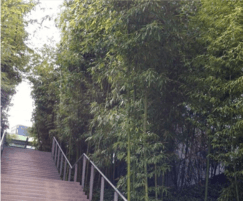 Flex MSE vegetated wall system for urban greening | Gravitas ...