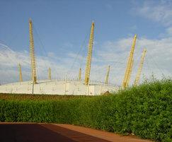 Cheviot Trees | ESI External Works